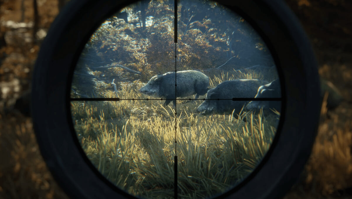 10 Best Hunting Games to Play on Xbox